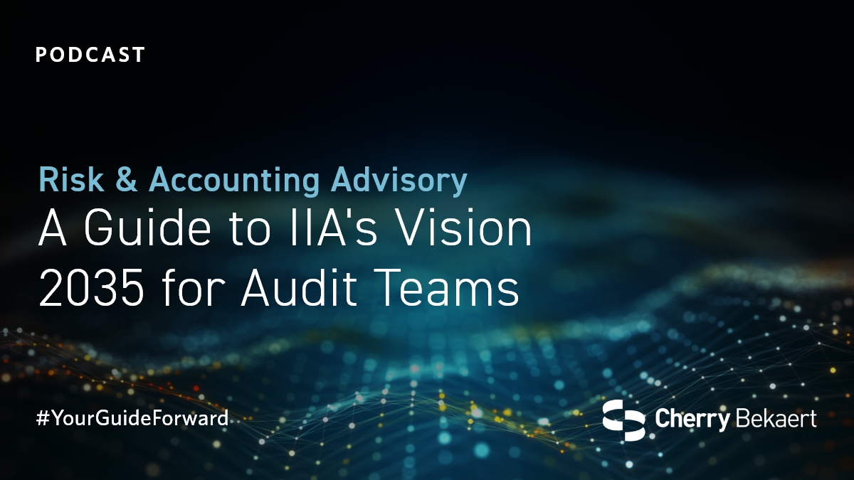 A Guide to IIA's Vision 2035 for Audit Teams | Cherry Bekaert
