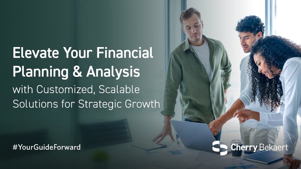 Financial Planning & Analysis Consulting Services | Cherry Bekaert