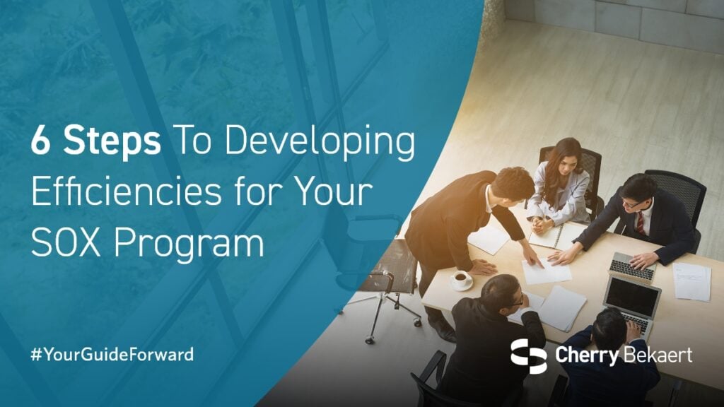6 Steps to Creating Efficiencies and a Well-planned SOX Program ...