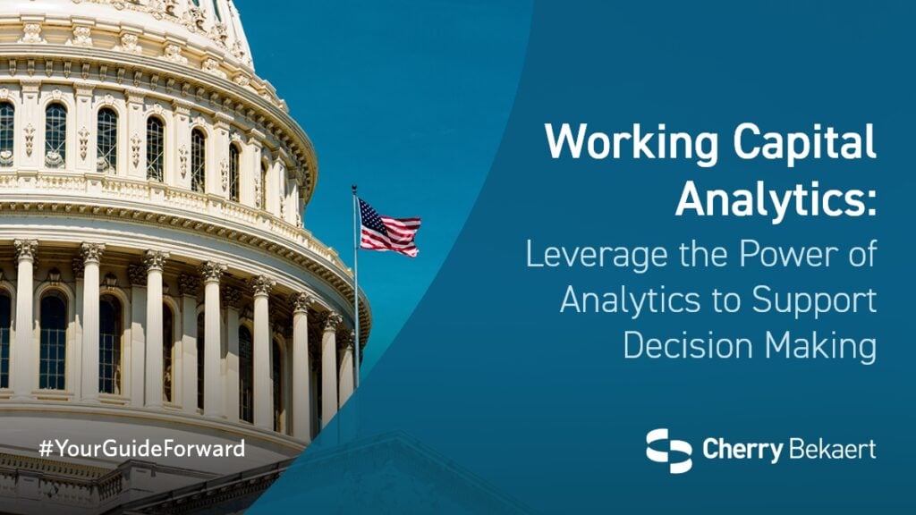 Federal Government Working Capital Fund Analytics Solution | Cherry Bekaert