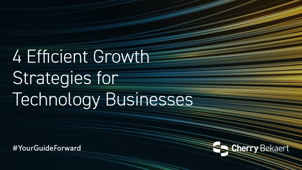 4 Efficient Growth Strategies for Technology Businesses | Cherry Bekaert
