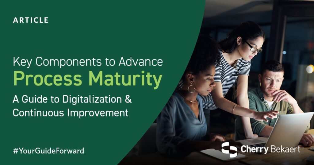 Key Components to Advance Process Maturity | Cherry Bekaert