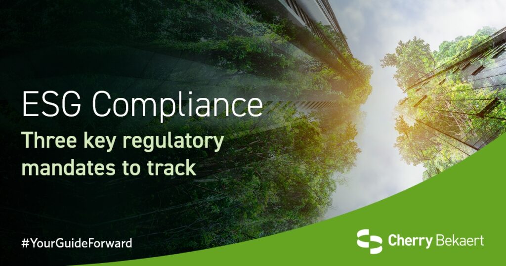 ESG Compliance: Understanding ESG Reporting Requirements | Cherry Bekaert