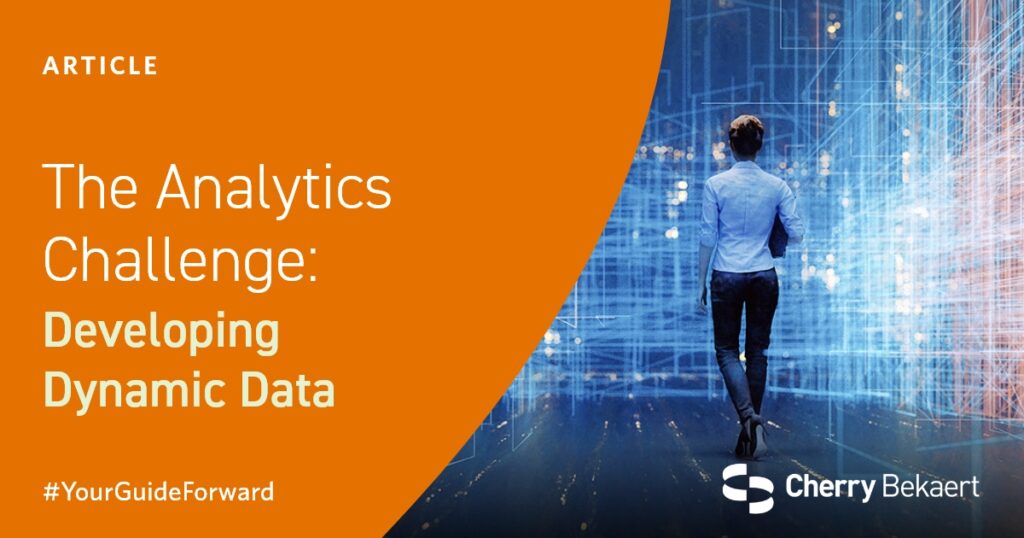 How to Introduce Data Analytics Into Your Organization | Cherry Bekaert