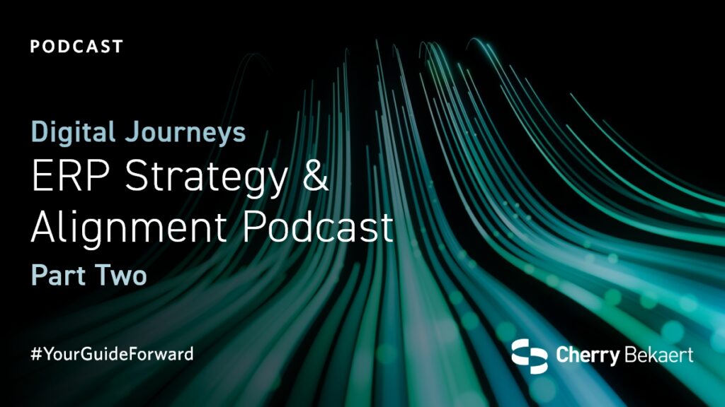 Developing an Effective ERP Strategy for Success - Part Two | Cherry ...