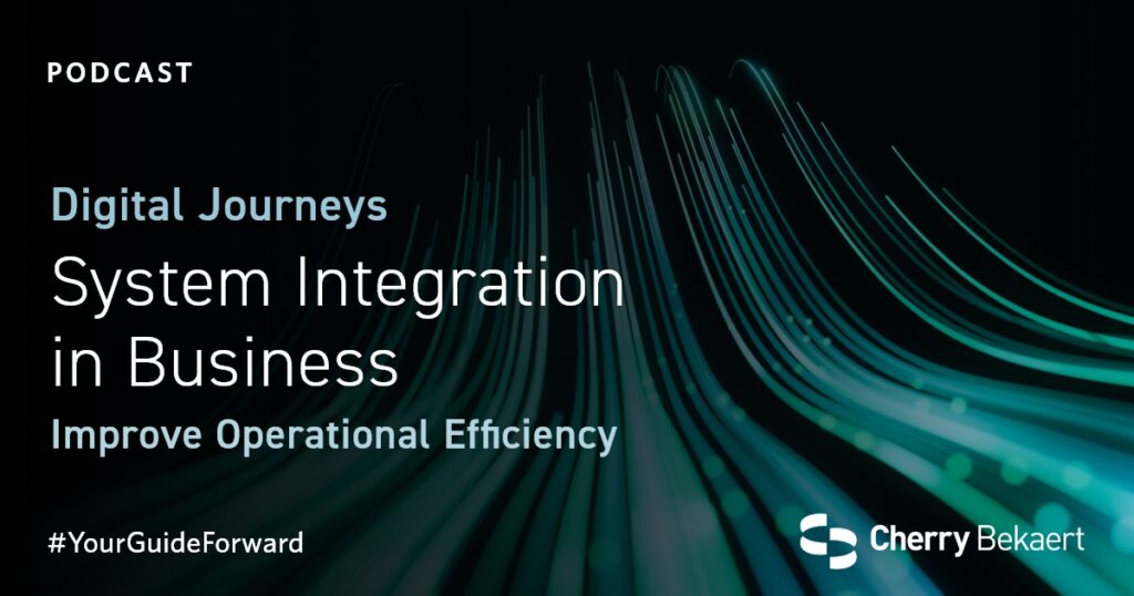 Importance of System Integration in Businesses | Cherry Bekaert