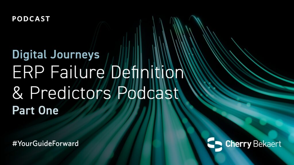 Defining ERP Failure: Key Indicators and Signs - Part One | Cherry Bekaert