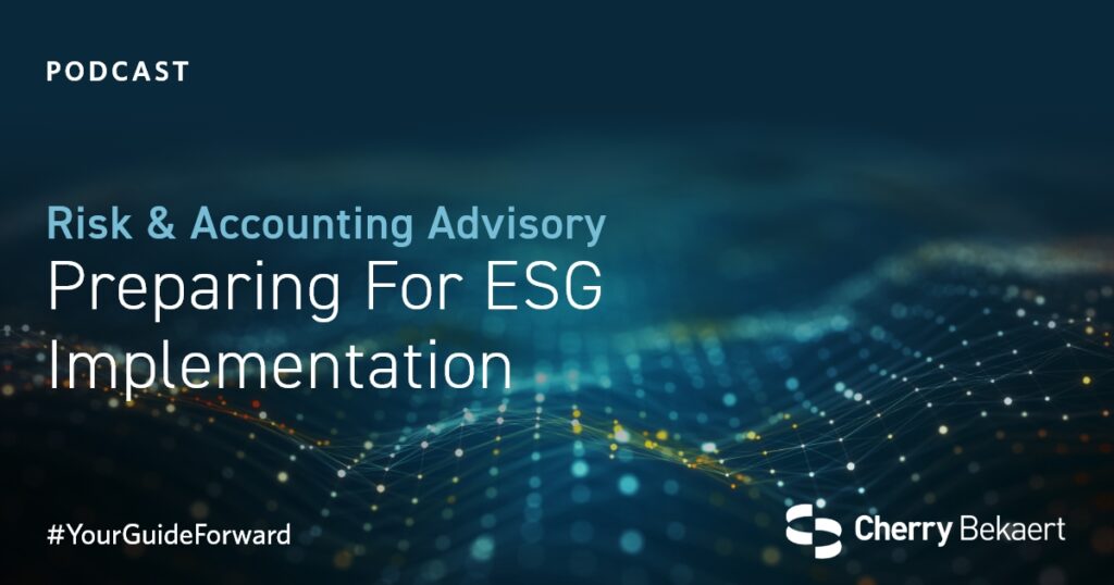 A Beginner's Guide to Corporate ESG Program | Cherry Bekaert