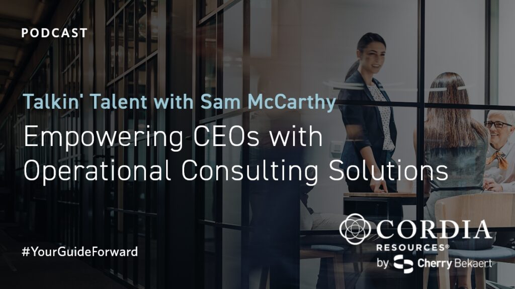 Empowering CEOs with Operational Consulting Solutions | Cherry Bekaert